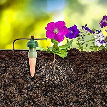 Blumat Basics: Smarter Watering for Healthier Plants