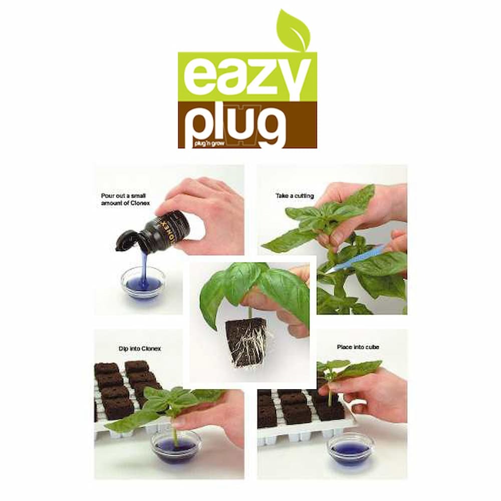 Eazyplug Propagation Plug Tray – Green Genius