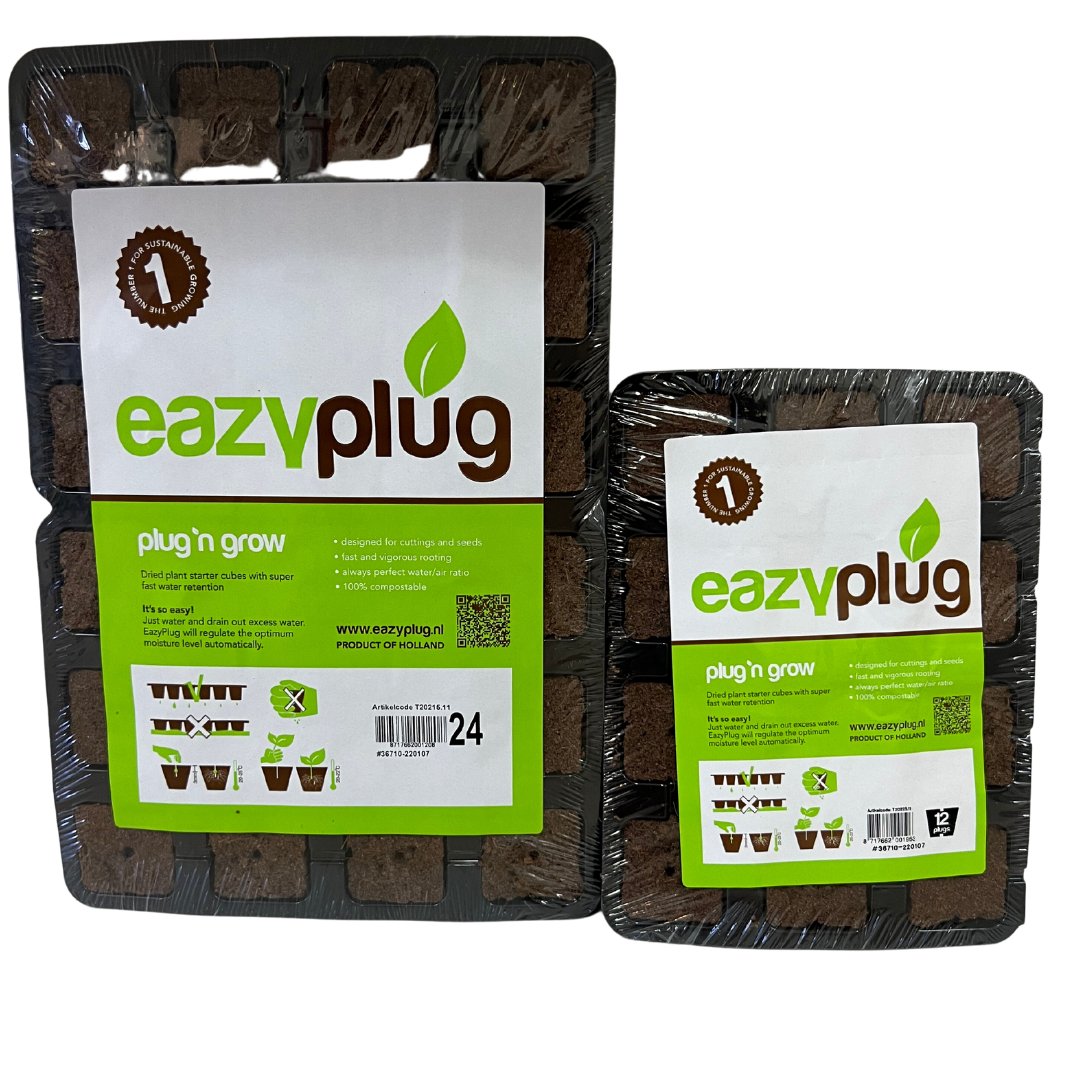 Eazyplug Propagation Plug Tray