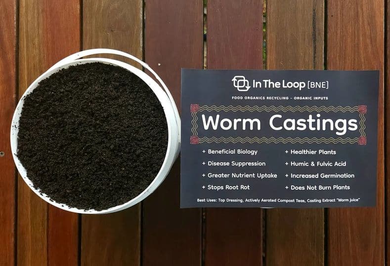 In The Loop Premium Worm Casting 10L